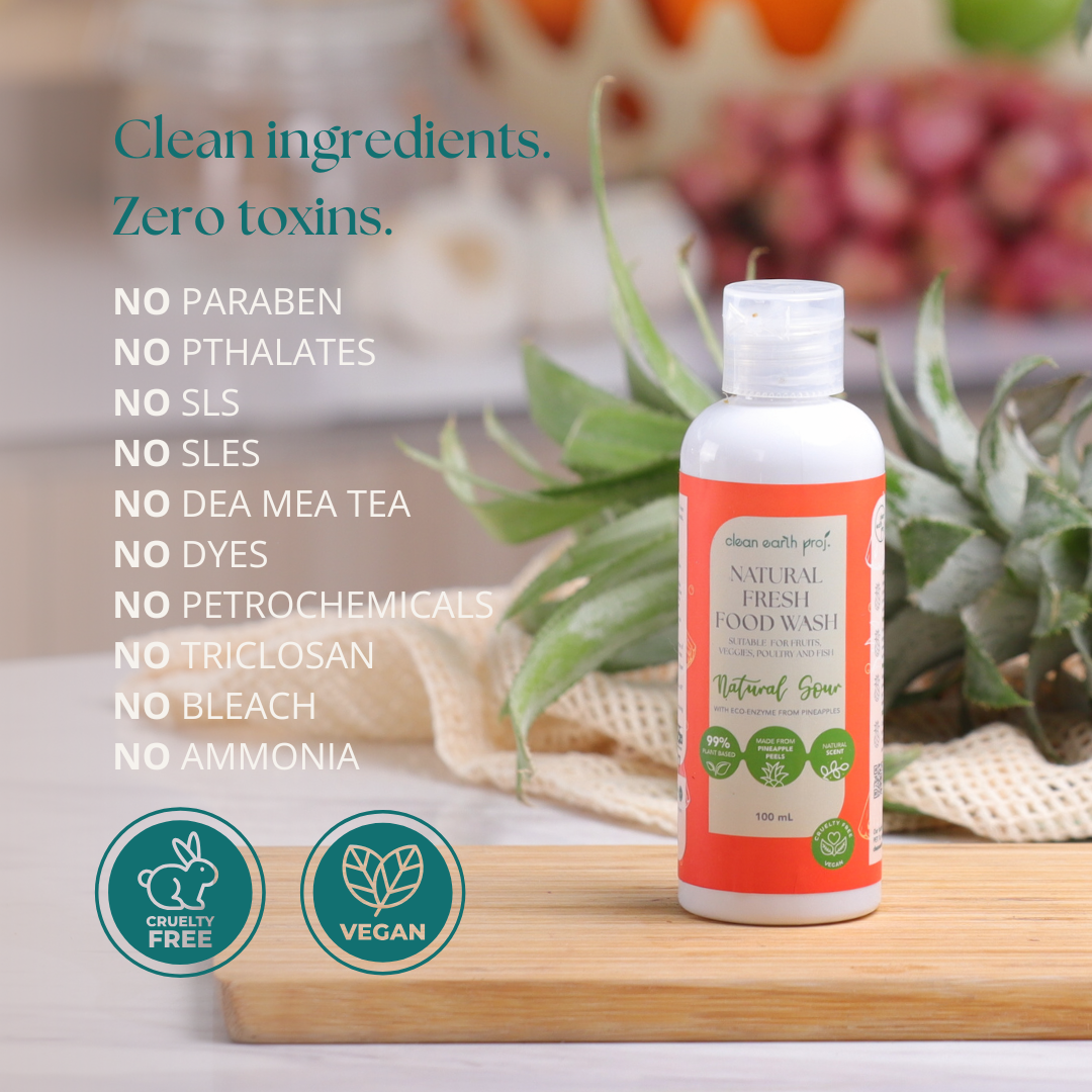Clean Earth Project Natural Food Wash Natural Sour 100ml | With Eco-En ...